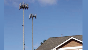 antennae - Natural Awakenings Magazine
